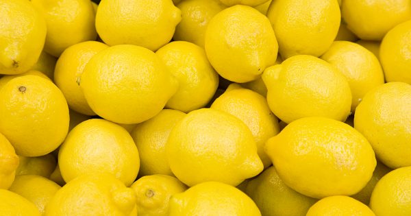 Surviving the Apocalypse - Security Degree Hub